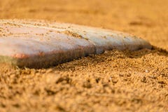 1st Base stock photo. Image of clay, base, american, outdoors - 8567414