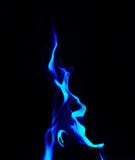 A Single Flame. Royalty Free Stock Photos - Image: 12816988