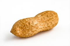 Single peanut stock photo. Image of bumpy, food, horizontal - 23118916