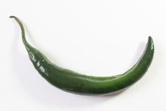 Chilaca Chili Pepper stock photo. Image of bush, chili - 9237996