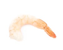 Single Shrimp Stock Photo - Image: 9000770