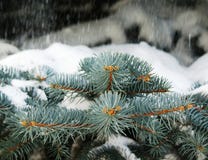 First day of spring stock image. Image of city, snow - 87543255