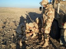 US Army boots stock image. Image of desert, clothing - 13680597