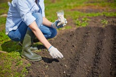 Sowing Royalty Free Stock Images - Image: 4130749