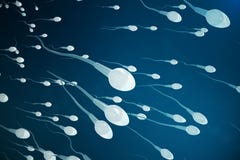 Natural Insemination - Sperm Stock Illustration - Illustration of ...