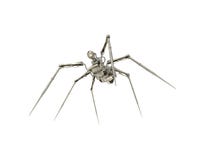 14+ Spider bottom view Free Stock Photos - StockFreeImages