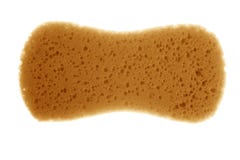 Wringing Out A Sponge On White Stock Image - Image of splash, gripping ...