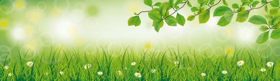 Spring Flowers And Grass Header Illustration 39007762 - Megapixl