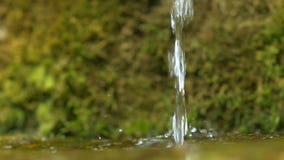 Spring Water Dribbling From A Moss-covered Rock Stock Video - Video of ...