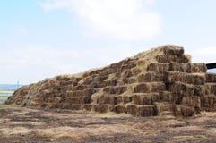Bucking hay stock image. Image of bucking, farm, barn - 44363765
