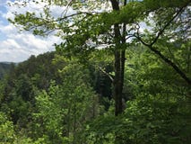 Standing Tall Stock Images - Image: 40644