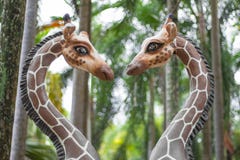 Giraffe Hug Stock Images - Download 54 Royalty Free Photos