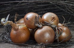 Still Life Of Kitchen Items Stock Image - Image of decorated, lighting ...