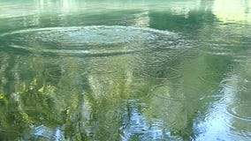 Throw A Stone Into A Lake. Ripple Circle On Lake Stock Video - Video of ...