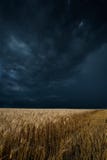 Storm dark clouds stock photo. Image of color, blue, landscape - 24963934