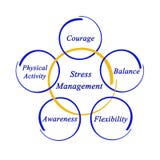 Stress Management Flowchart Illustration 90272015 - Megapixl