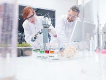 Conducting An Observation Experiment Using A Laser-backed Microscope ...