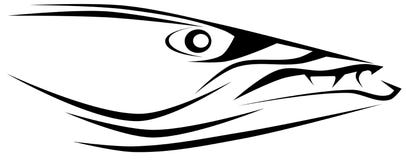 Stylized Barracuda Tattoo Isolated Stock Vector - Image: 62688496