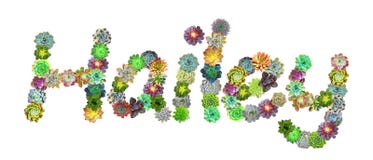 Hailey Name Lettering Tinsels Stock Vector - Illustration of letter ...