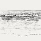 Seascape pencil drawing stock vector. Illustration of palm - 19977014