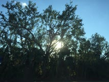 Sun Rays Stock Photos - Royalty Free Images - Dreamstime