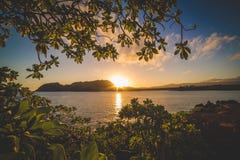 Kawaii Stock Images - Download 817 Photos