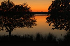 Sunset Through Trees On Lake Stock Image - Image: 53622211
