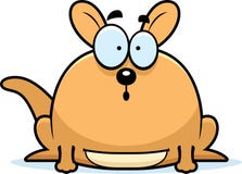 Scared Kangaroo In The Wild Stock Photo - Image: 39980247