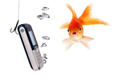 Goldfish Cell Phone Fun Royalty Free Stock Photos - Image: 32612208