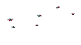 Swarm Of Flies. 3D Animation In Cartoon Style. Green Screen, Loopable ...