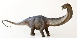 Dinosaur Apatosaurus And Human Size Comparison Illustration 52032045 ...