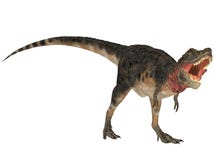 Adult And Young Tarbosaurus Stock Image - Image: 25276511