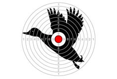 Duck Shooting Target Royalty Free Stock Photo - Image: 15553345