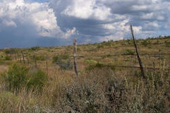 South Texas Prairie Royalty Free Stock Images - Image: 206099