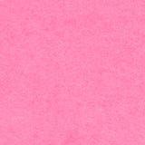 Pink Fiber Optic Flowers stock photo. Image of bright - 9750724