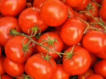 Red Tomato Crop Texture Stock Photos - Image: 19703603