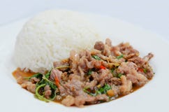 Pad kapao stock image. Image of fried, rice, thai, spicy - 31780337