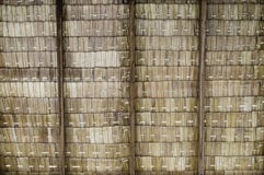 Nipa Texture Stock Photos - Download 198 Images