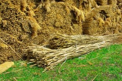 Bundles Of Roof Thatching Grass Royalty Free Stock Photos - Image: 7423648
