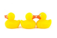 The three ducks isolated stock image. Image of ducks, water - 4680039