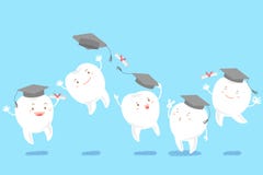 Tooth Graduation Stock Illustrations – 55 Tooth Graduation Stock ...