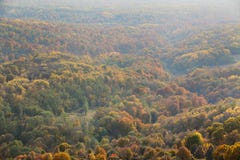 Forest haze stock photo. Image of stillness, mountains - 2326092