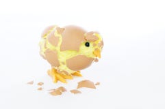 Chick Breaking Out of Egg stock vector. Illustration of chicken - 27068295