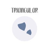 Triangular Bacteria. Bacteria Classification. Irregular Shapes Of ...