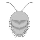Trilobite Stock Illustrations – 139 Trilobite Stock Illustrations ...