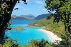 Trunk Beach stock image. Image of virgin, bathe, beach - 602419