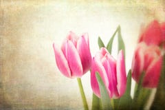 Vintage Heraldic Imperial Frame Grunge Background Stock Vector ...