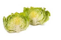 Isolated Iceberg Stock Vector - Image: 43508764