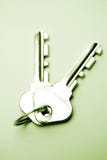 Two keys stock illustration. Image of gray, house, keys - 18253864