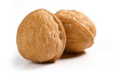 Walnut stock photo. Image of mature, nutty, snack, edible - 24119538